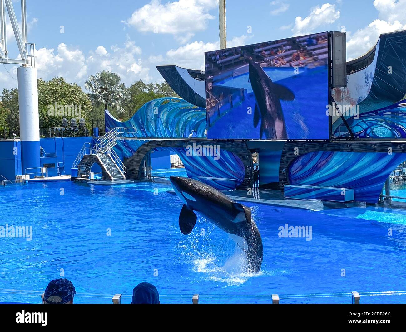 Orlando, FL/USA-7/12/20: The Orca or Killer Whale Exhibit at Seaworld ...