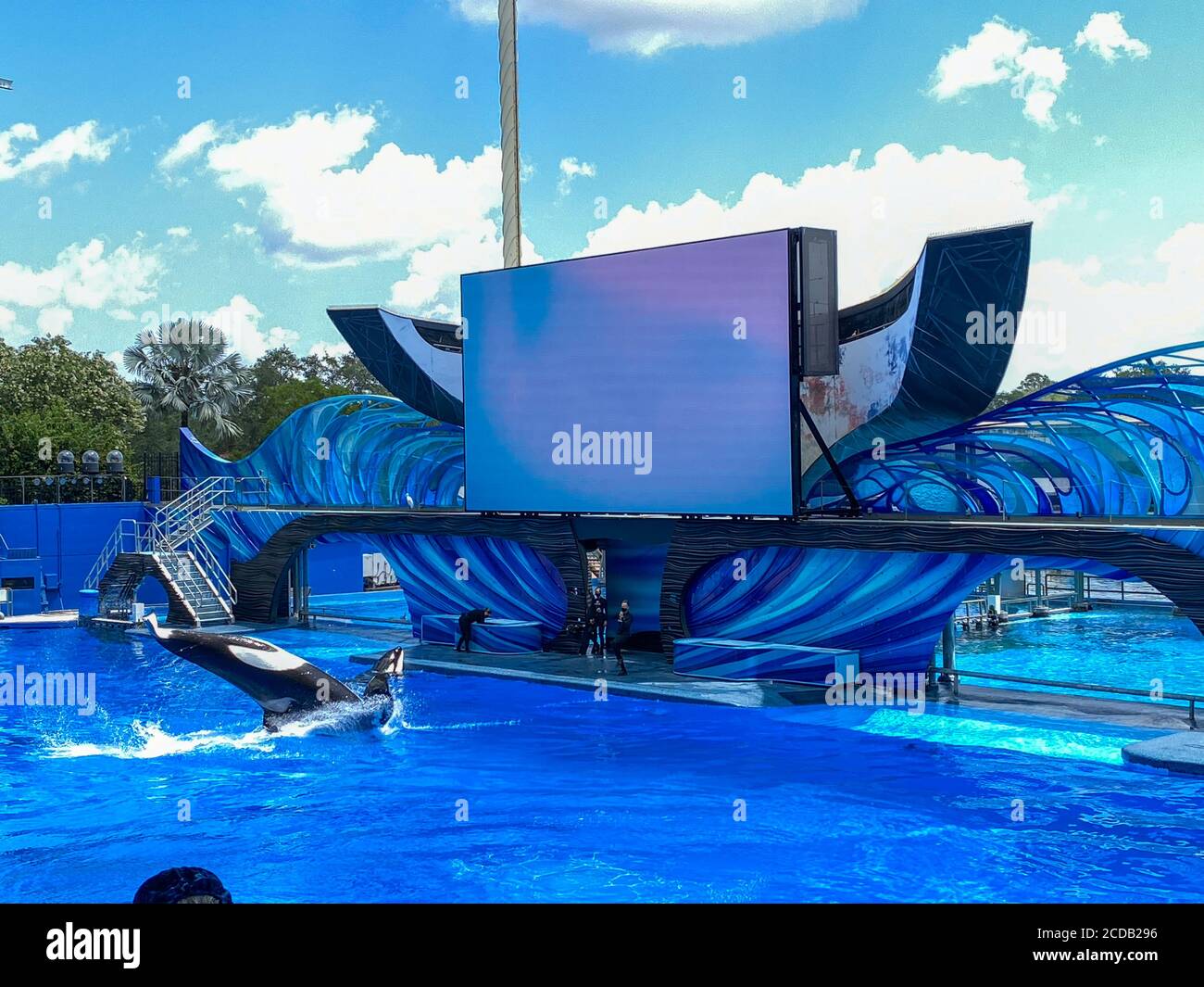Orlando, FL/USA-7/12/20: The Orca or Killer Whale Exhibit at Seaworld ...