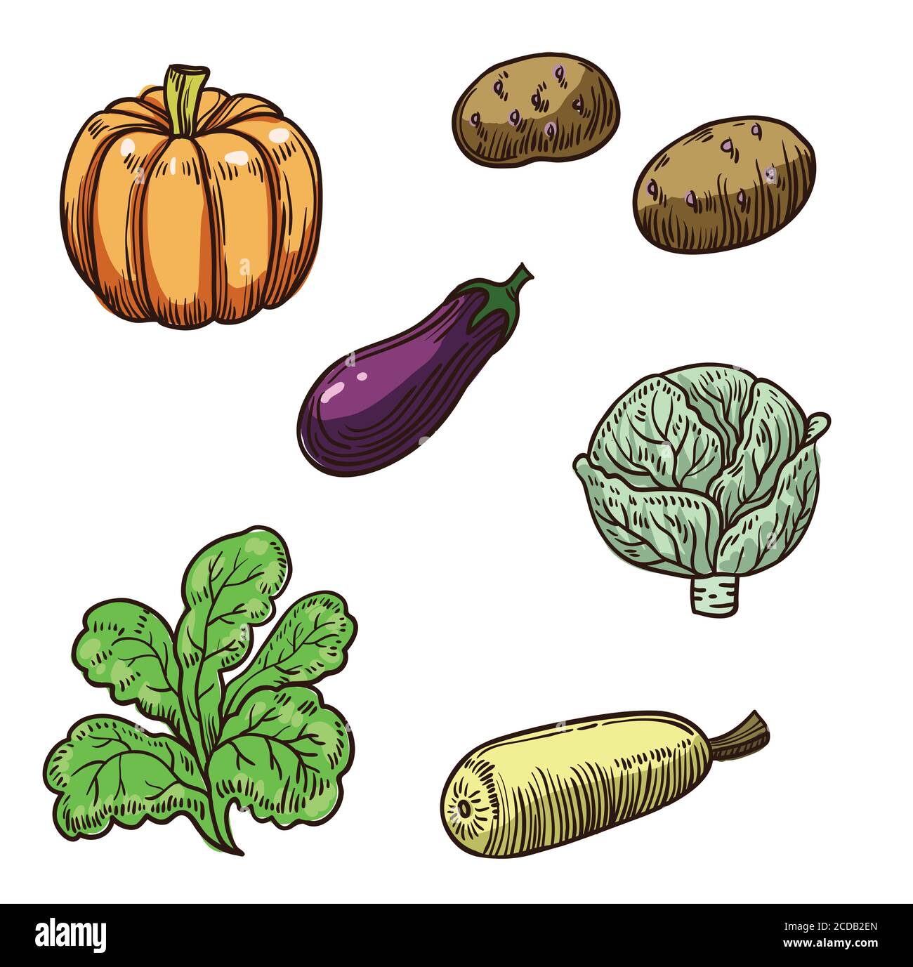 Big set of hand drawn vegetables Stock Vector Image & Art - Alamy
