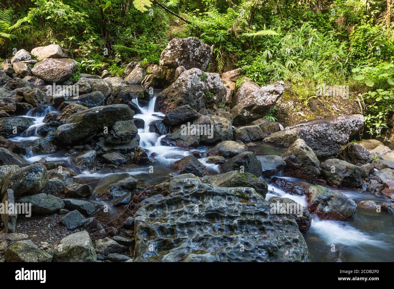 Small rapids on the Rio de la Mina in the tropical El Yunque National ...