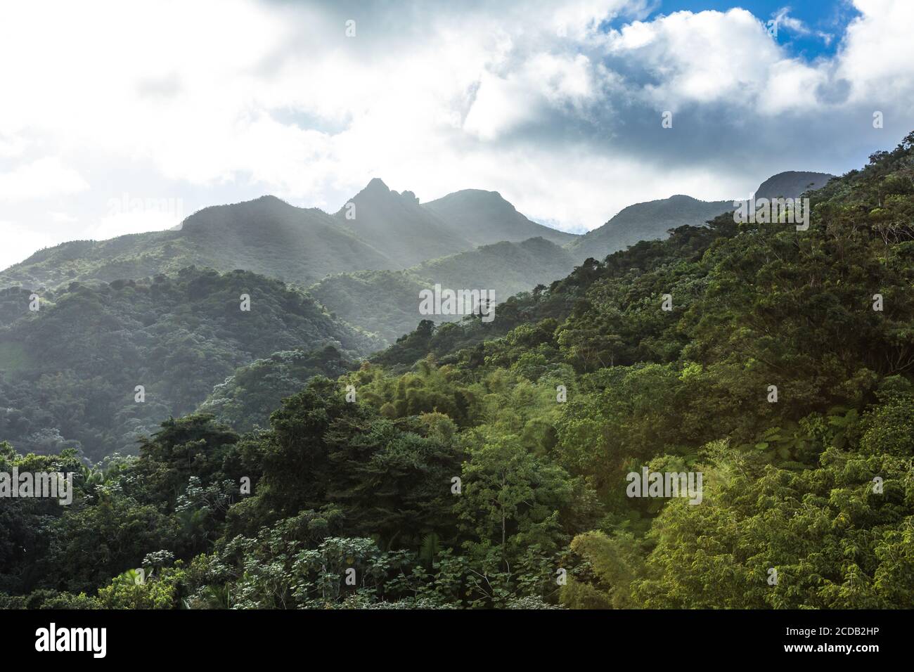 View from the Yokahu Tower in El Yunque National Forest in Puerto Rico ...