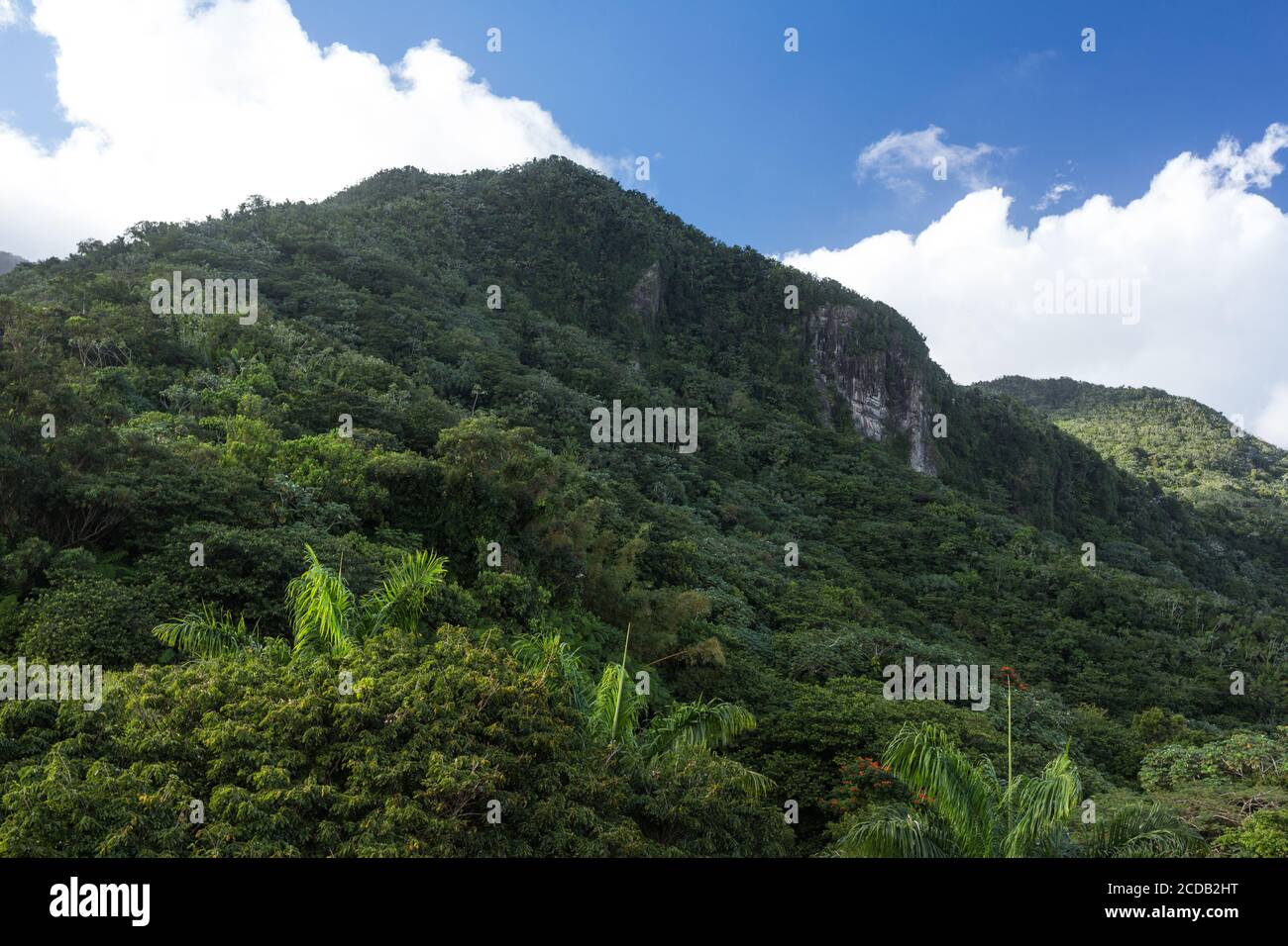 View from the Yokahu Tower in El Yunque National Forest in Puerto Rico ...