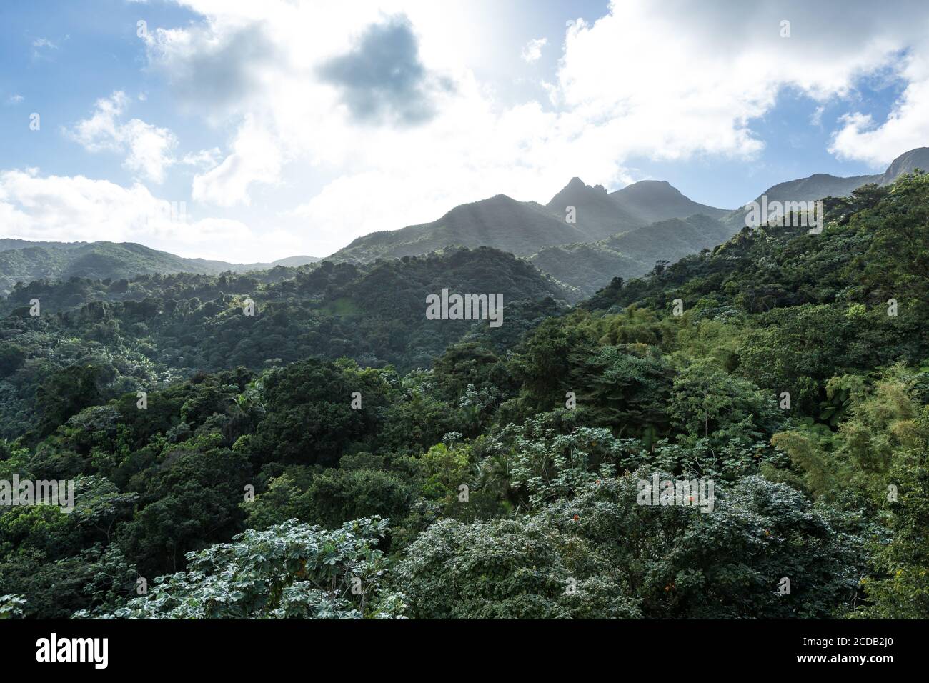 View from the Yokahu Tower in El Yunque National Forest in Puerto Rico ...