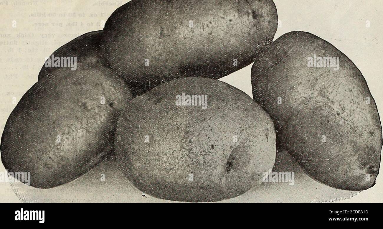 British queen potato hi-res stock photography and images - Alamy