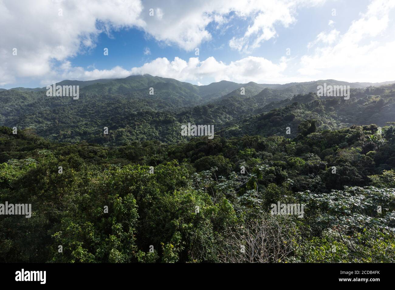 View from the Yokahu Tower in El Yunque National Forest in Puerto Rico ...