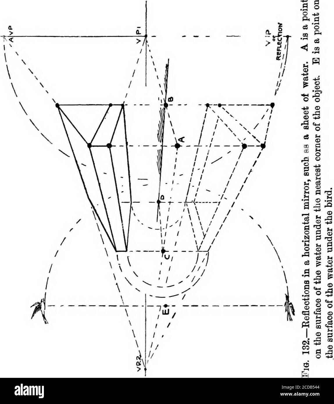 Short perpendicular leg Cut Out Stock Images & Pictures - Alamy