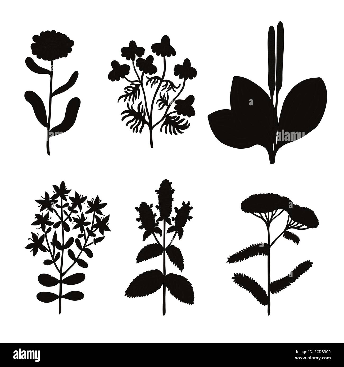 Big set of vintage original silhouette of medicinal herbs Stock Vector ...