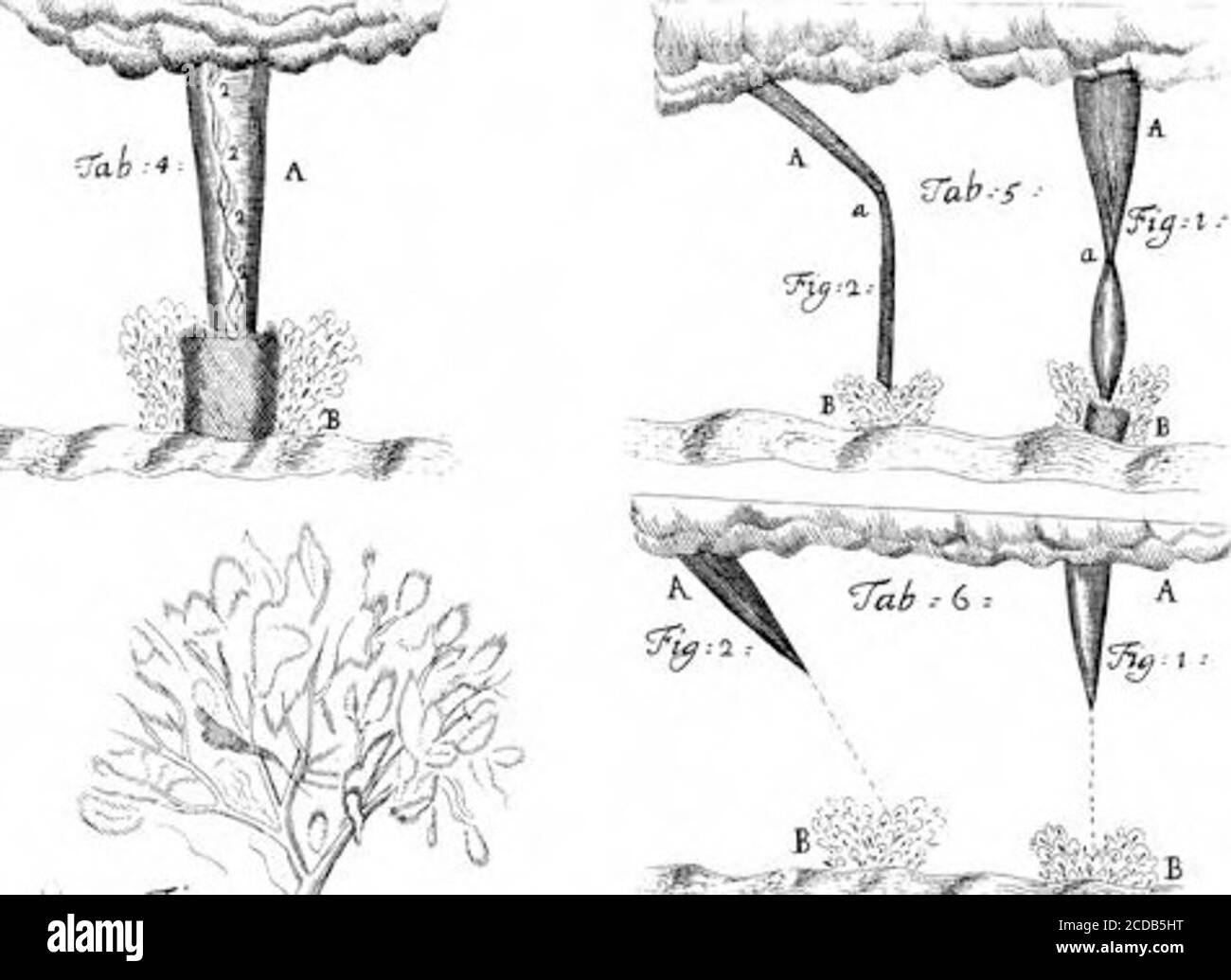 . Part of a Letter from Mr Alex. Stuart, (a Physician) to the Publisher ...