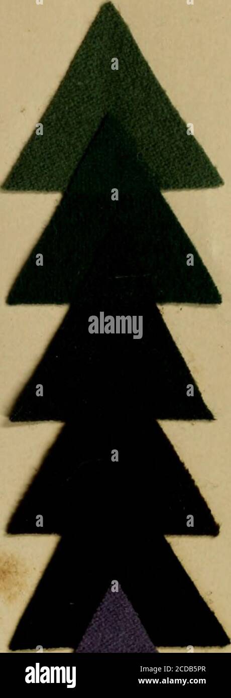 . The guide for piece-dyeing . > / / / / / /??/ / / /77 ...