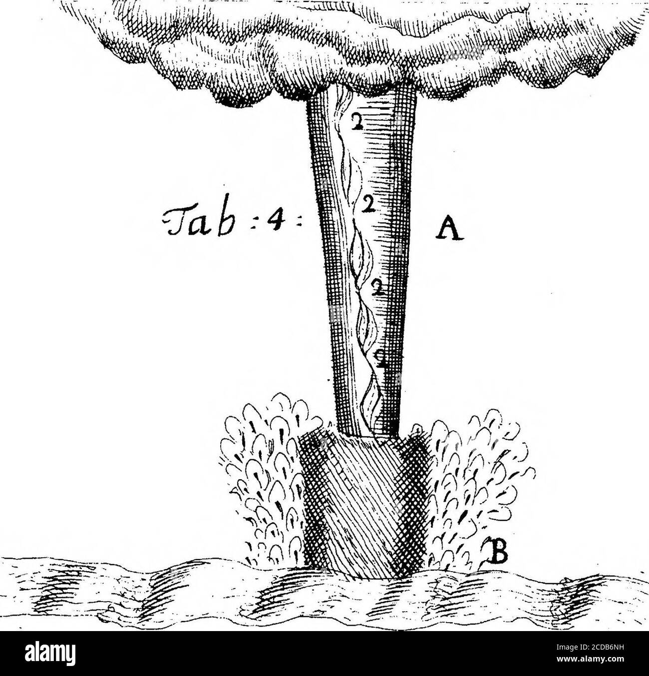 Bookidphiltrans04873648 hi-res stock photography and images - Alamy