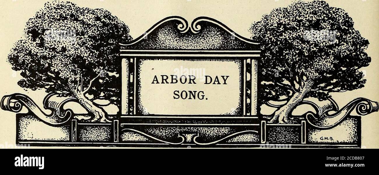 Run over rat hi-res stock photography and images - Alamy