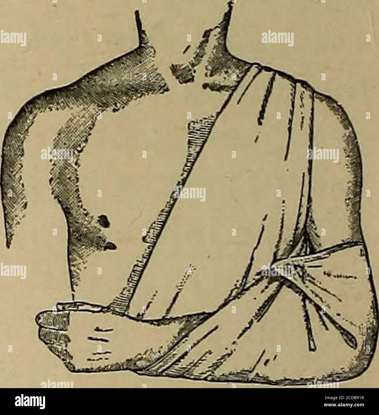 Two triangular ears hi-res stock photography and images - Alamy