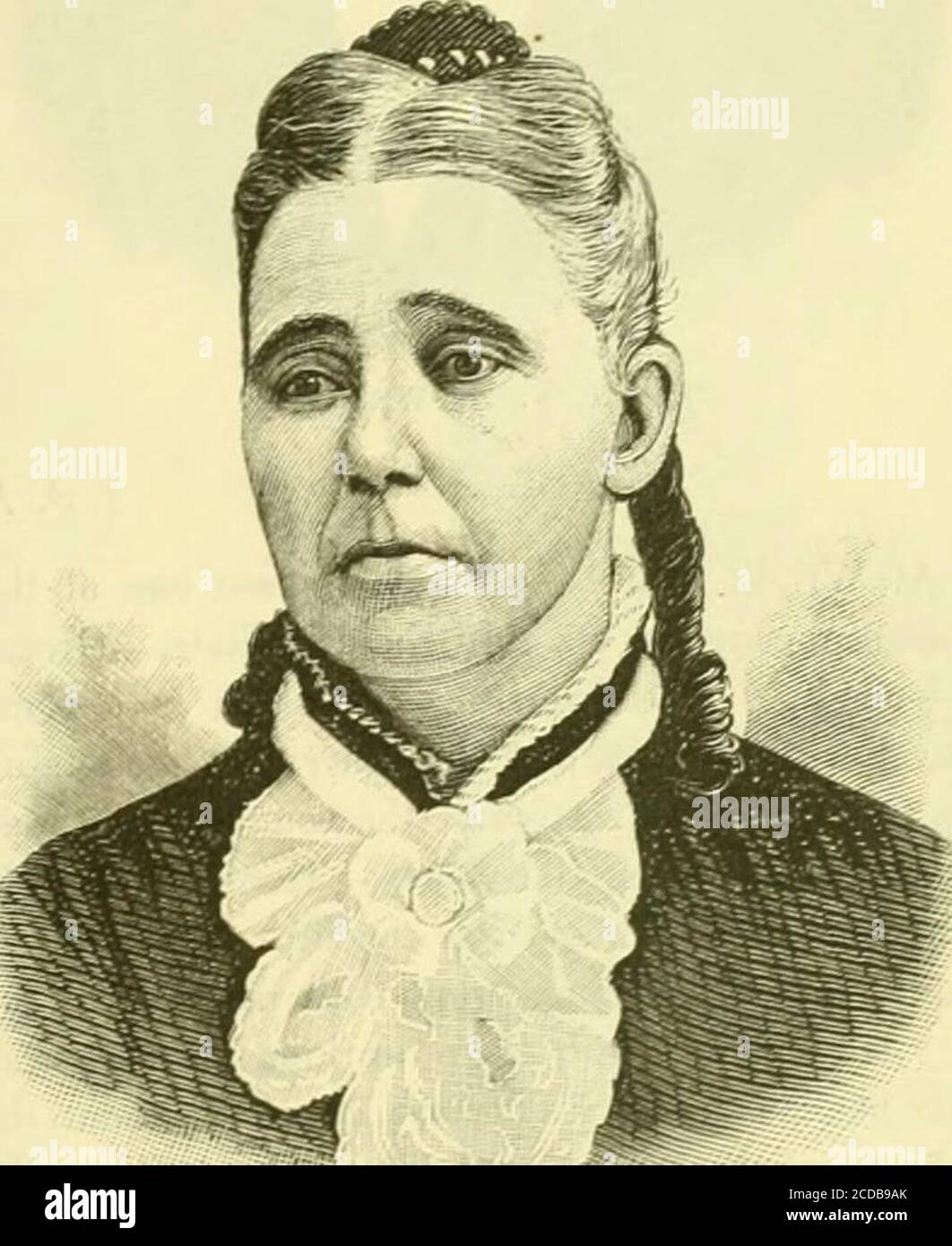 . History of Shiawassee and Clinton counties, Michigan . MR. JOHN C ...