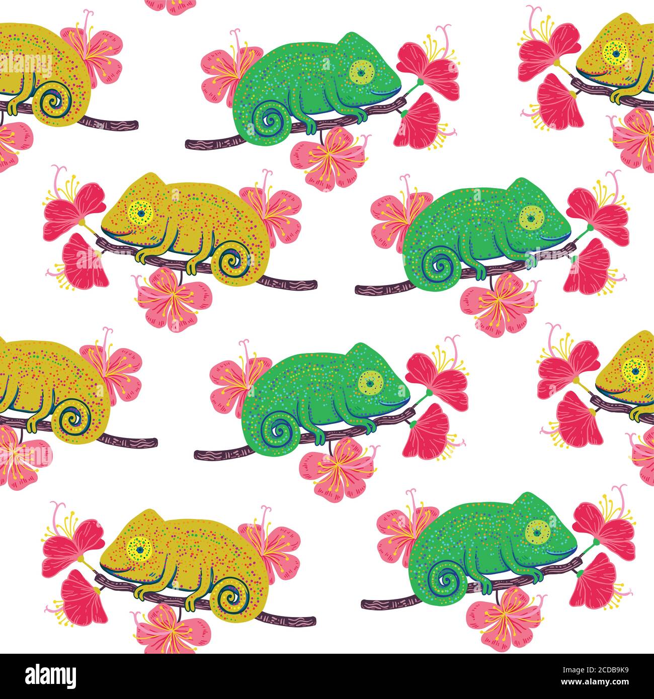 African chameleon or sahel chameleon Stock Vector Images - Alamy