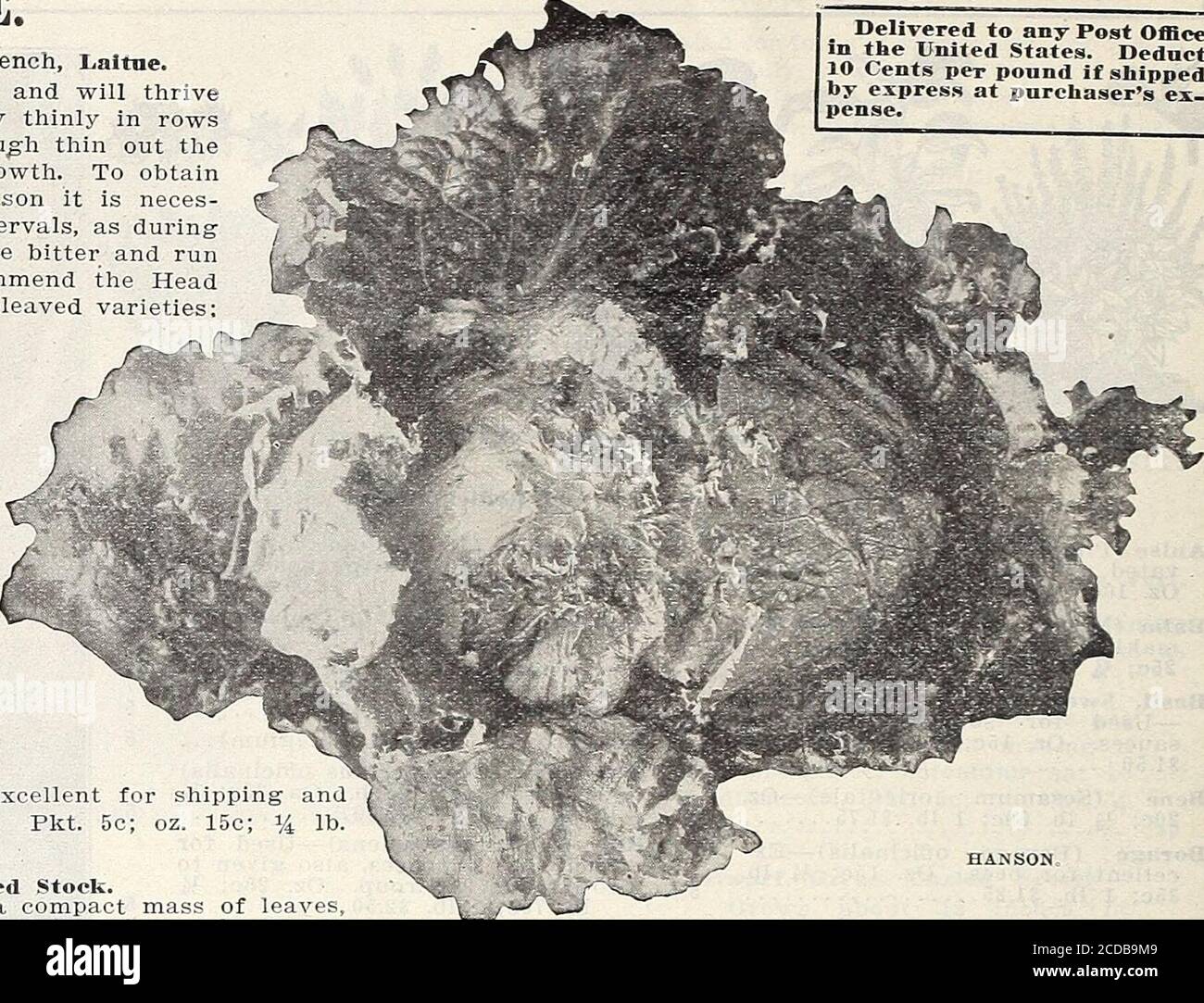 . Farm and garden annual : spring 1913 . begrown . closer than other ...