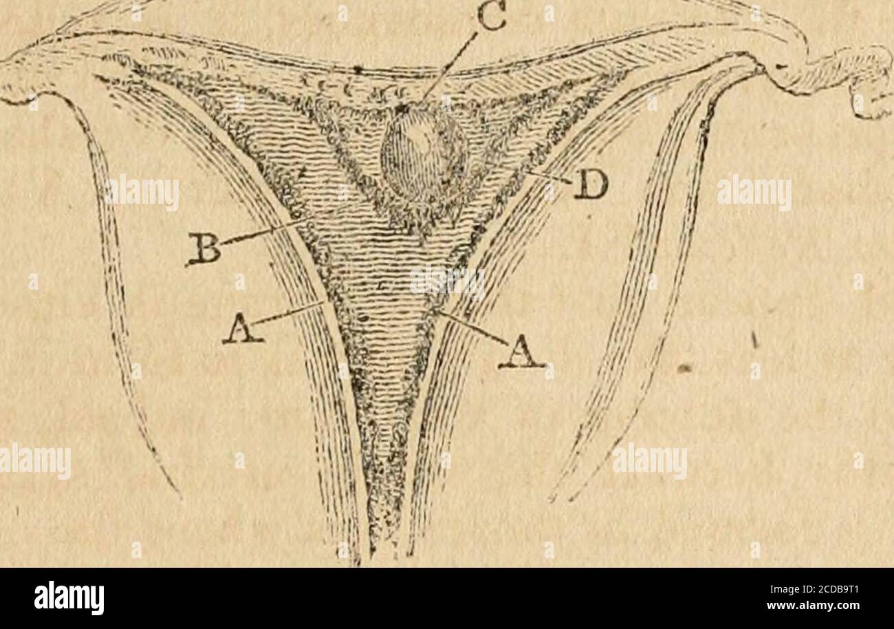 Hmph hi-res stock photography and images - Alamy