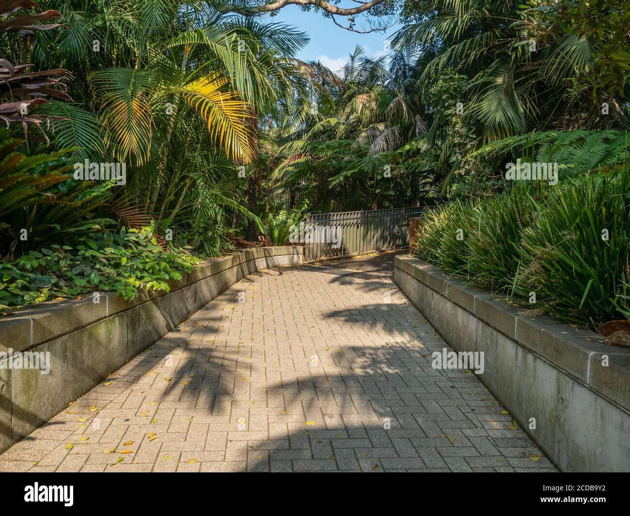 Taronga conservation society hi-res stock photography and images - Alamy