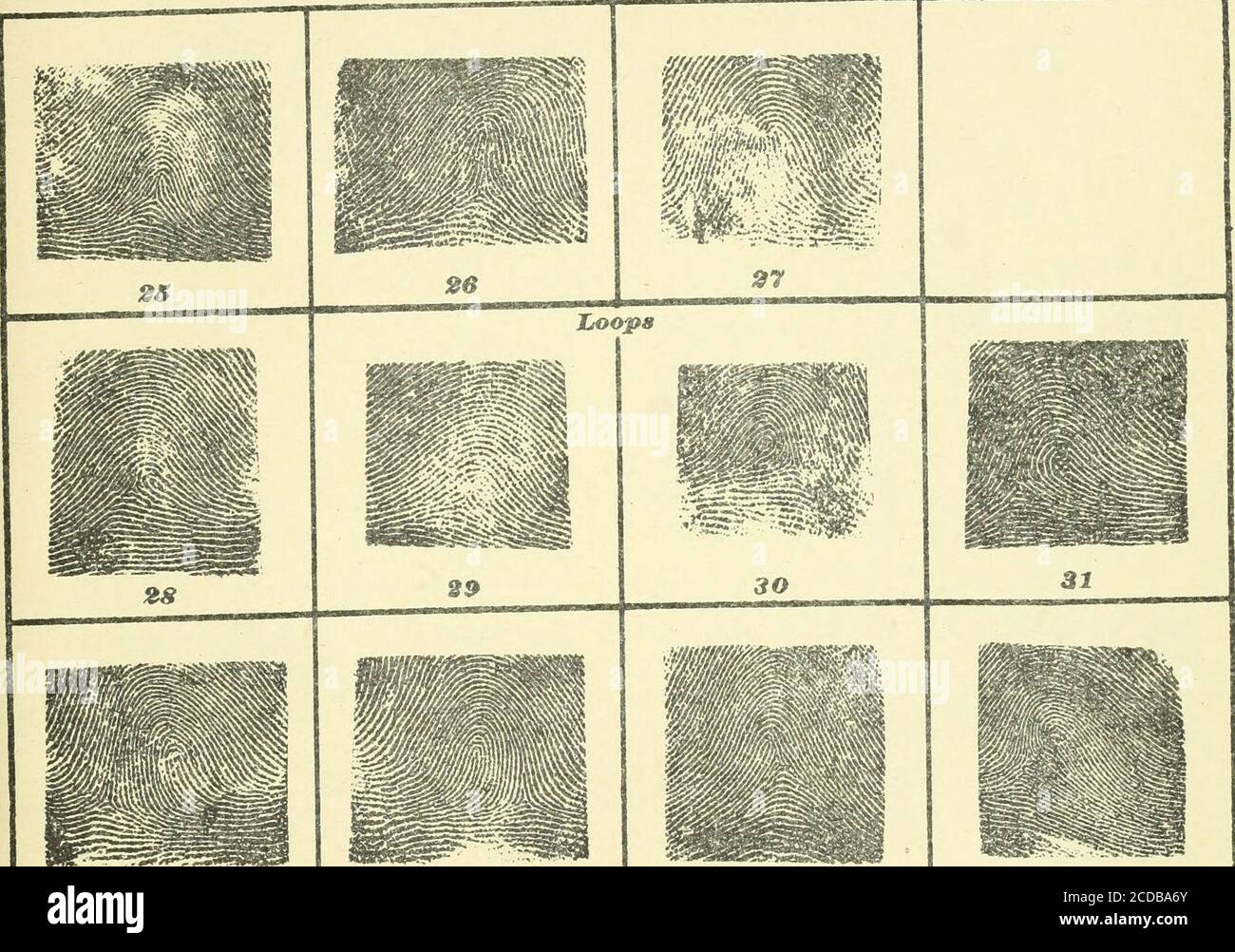 . Classification and uses of finger prints [electronic resource ...