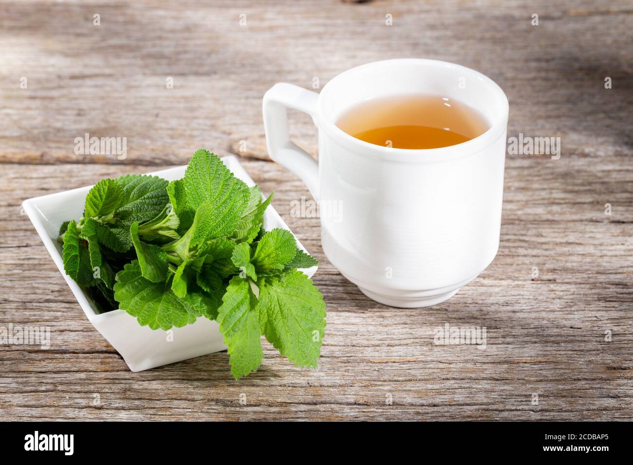 Purple sage plant and tea on the table, Lippia Alba Stock Photo - Alamy
