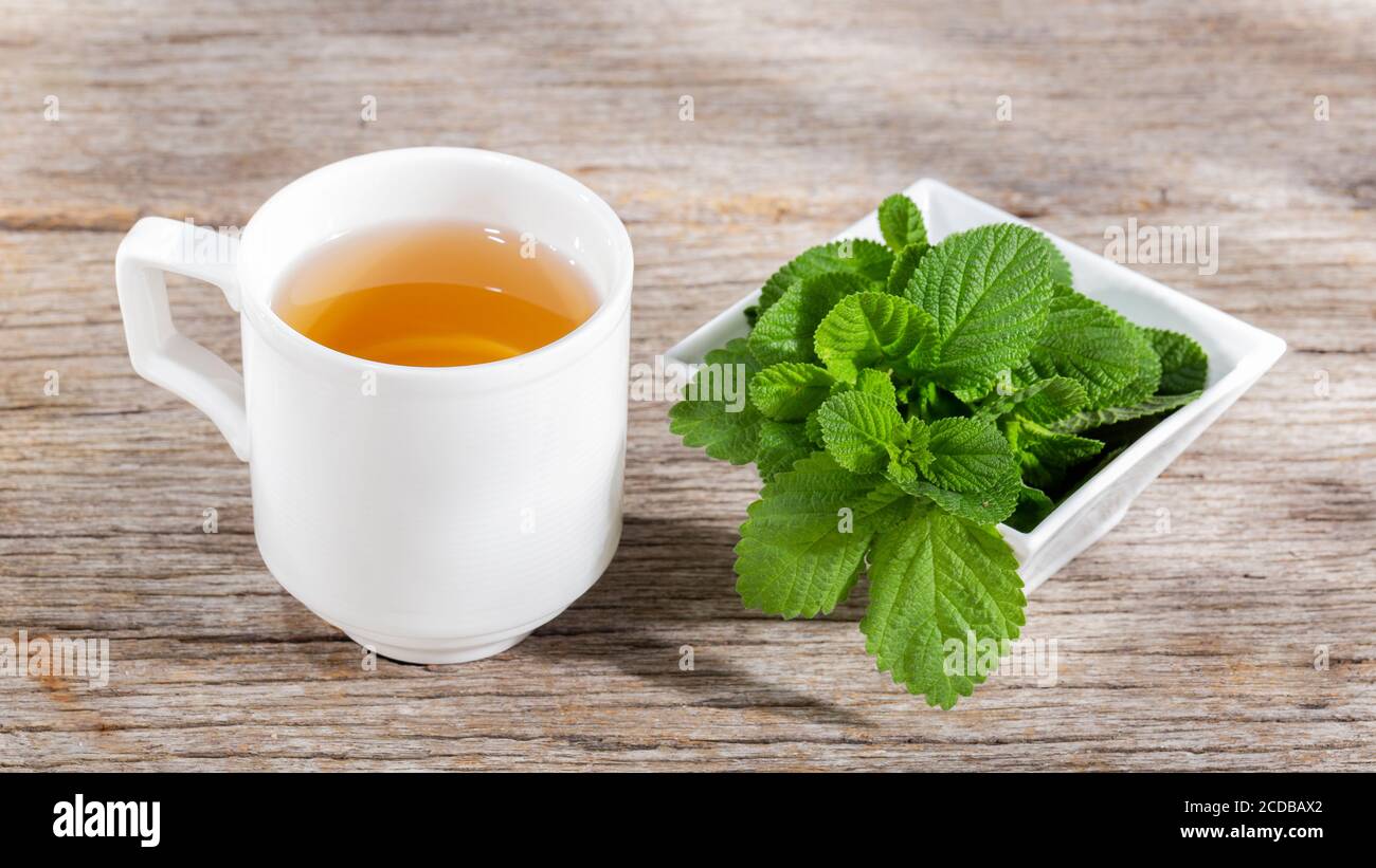 Purple sage plant and tea on the table, Lippia Alba Stock Photo - Alamy