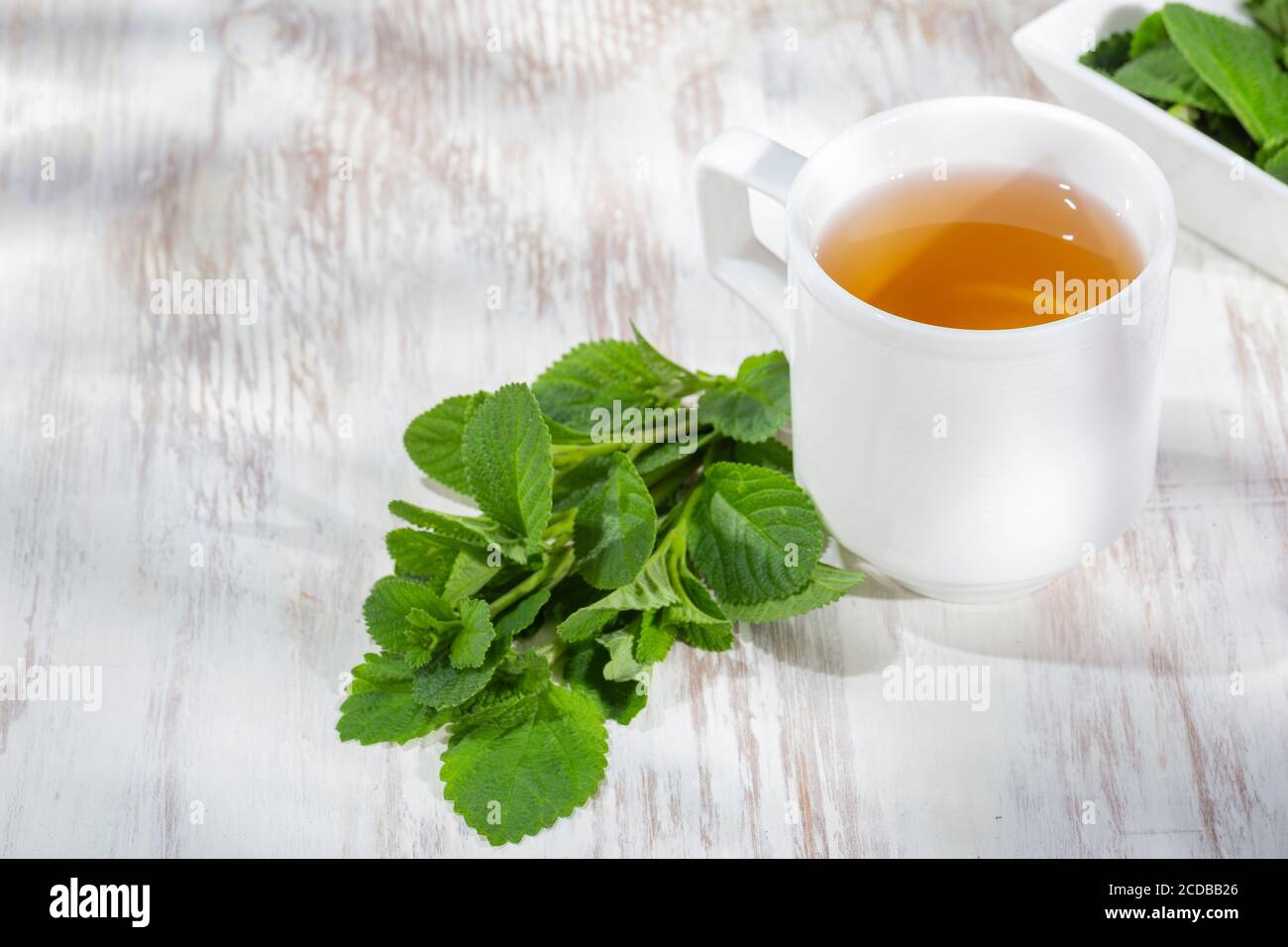 Purple sage plant and tea on the table, Lippia Alba Stock Photo - Alamy