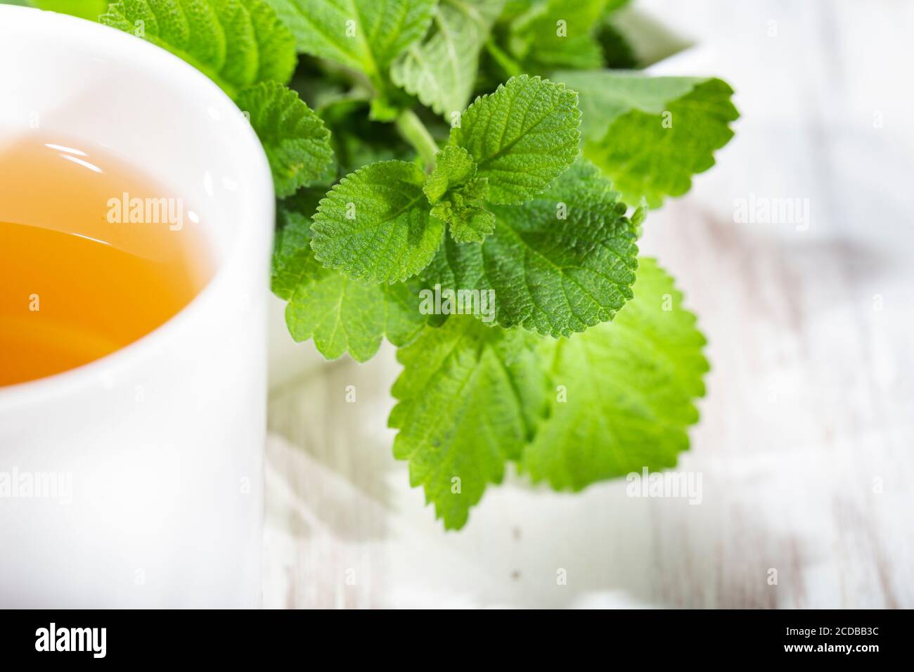 Purple sage plant and tea on the table, Lippia Alba Stock Photo - Alamy