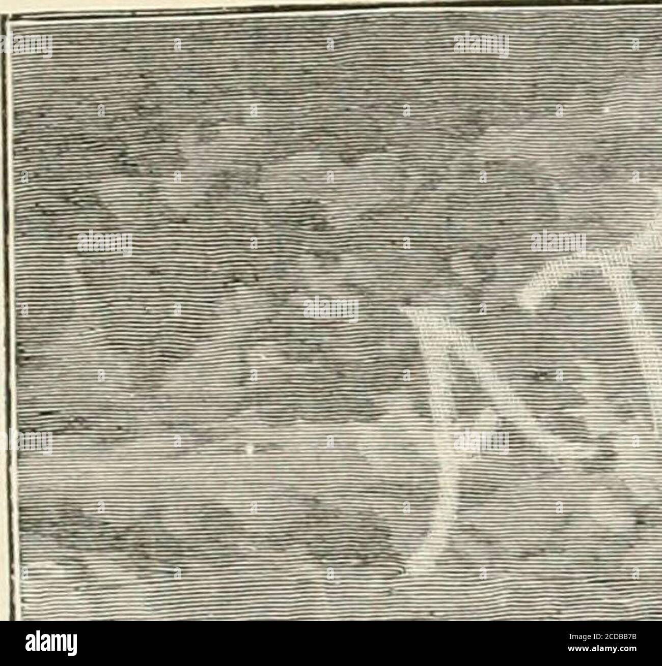 Hugo brothers hi-res stock photography and images - Alamy