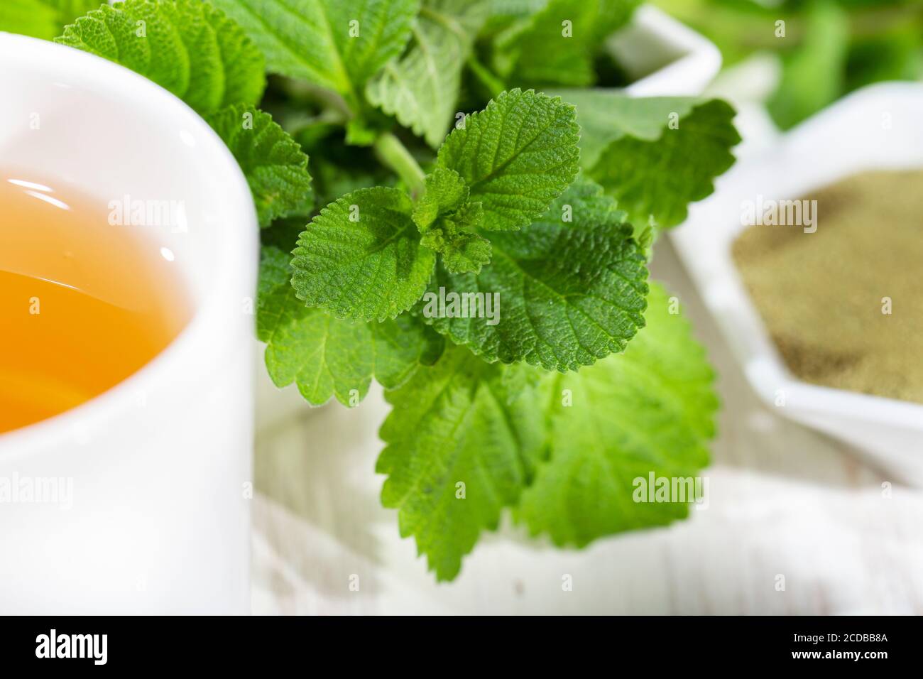 Purple sage plant and tea on the table, Lippia Alba Stock Photo - Alamy