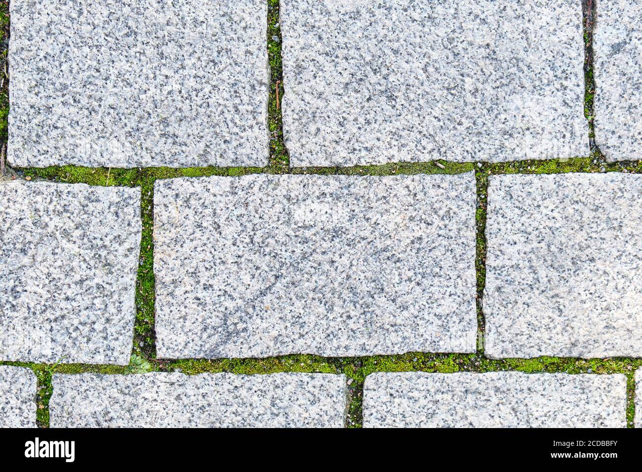 Grass between paving slabs hi-res stock photography and images - Alamy