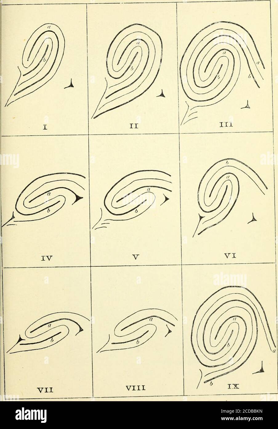 . Classification and uses of finger prints [electronic resource] . Fig ...