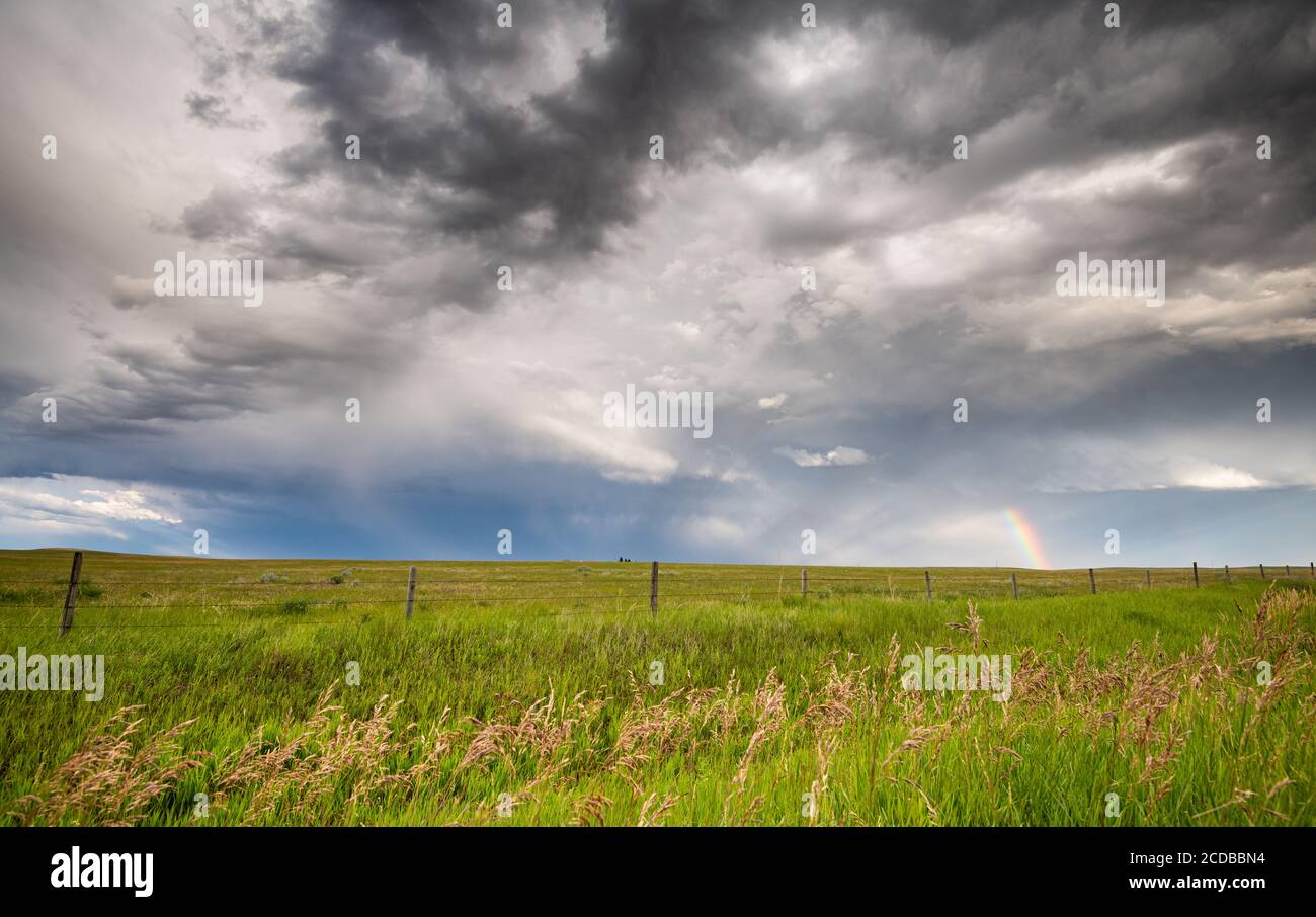 Storm in the prairies Stock Photo - Alamy