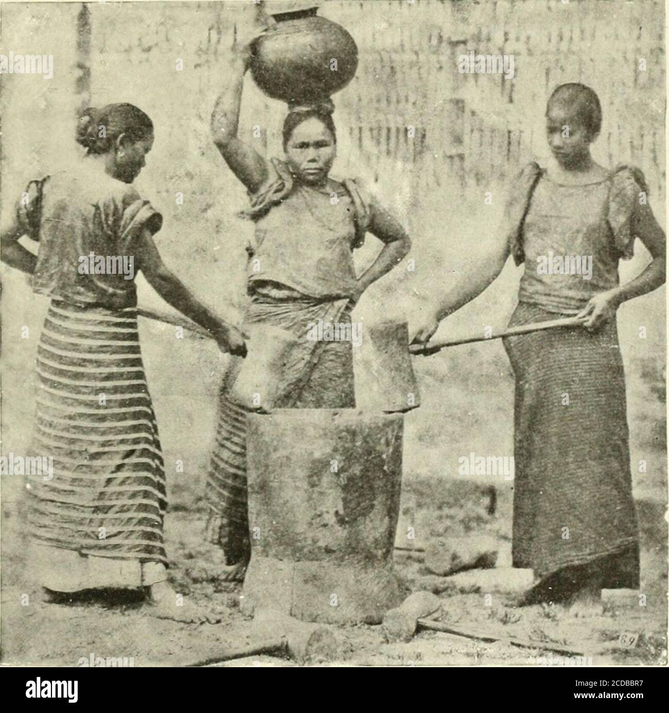 Seedi hi-res stock photography and images - Alamy