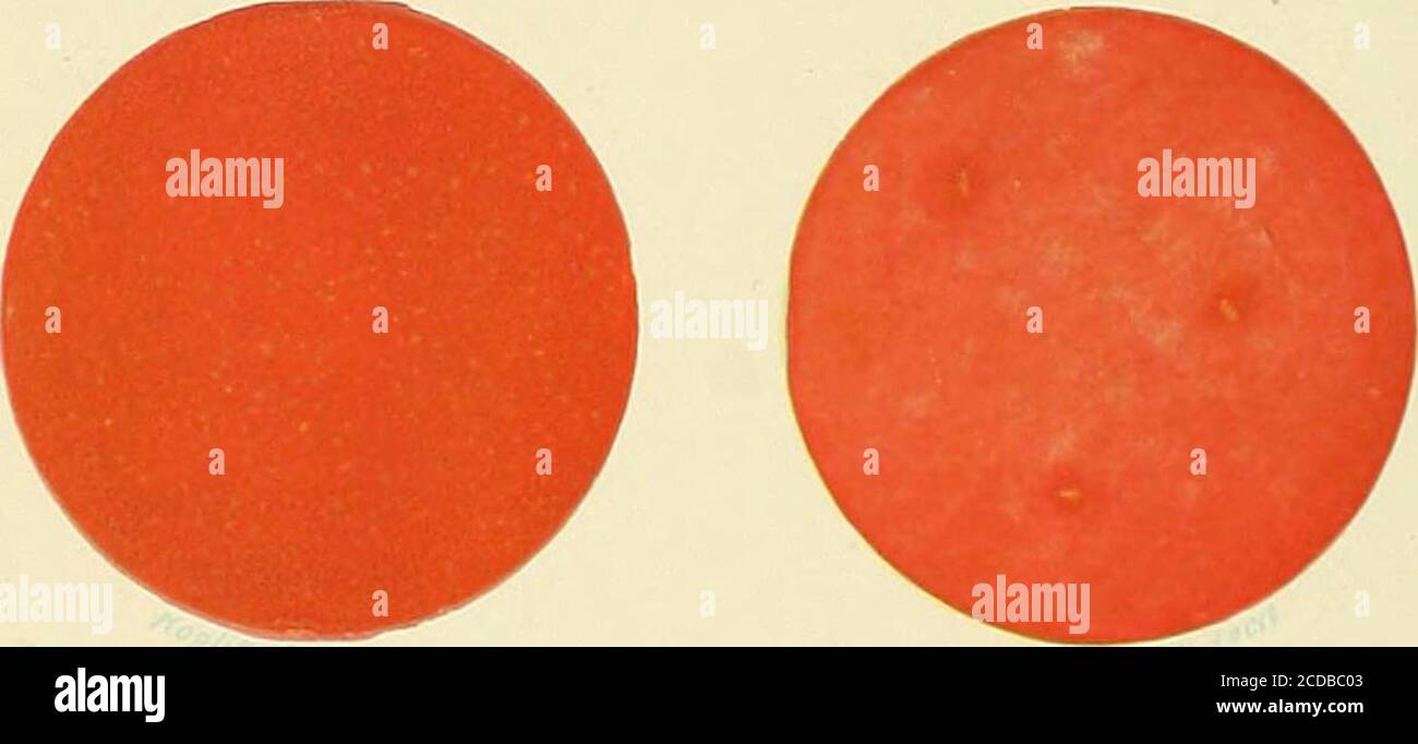 . The practice of medicine; a text-book for practitioners and students ...