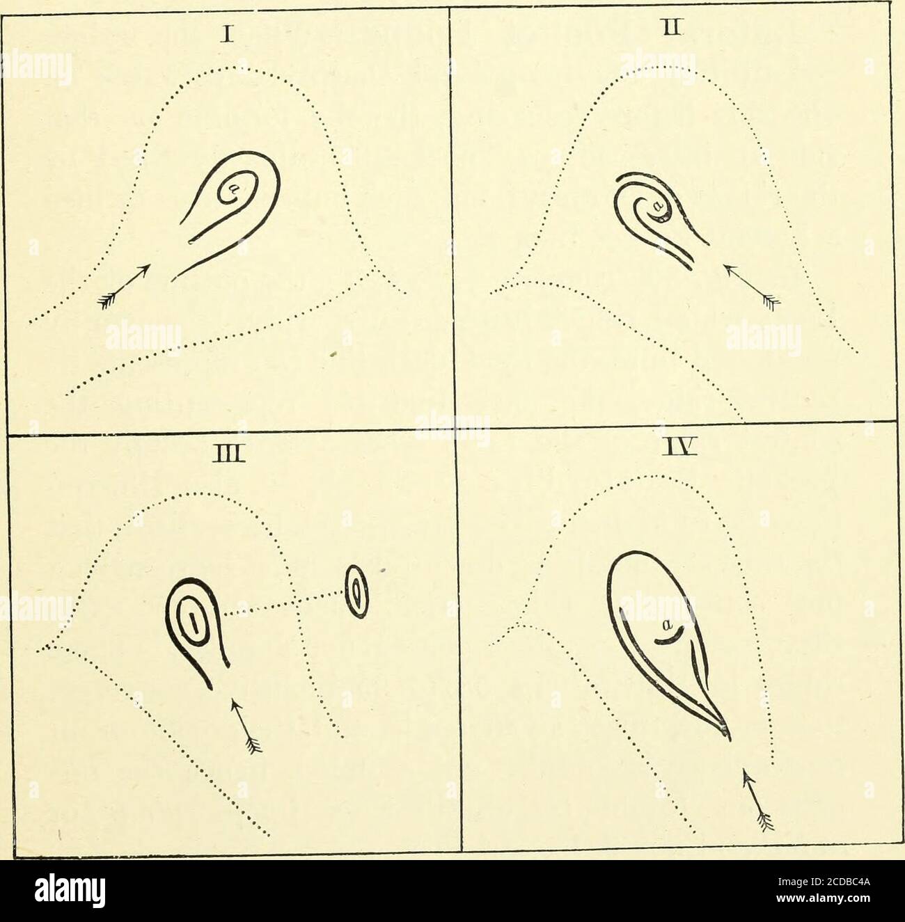 Theloo hi-res stock photography and images - Alamy