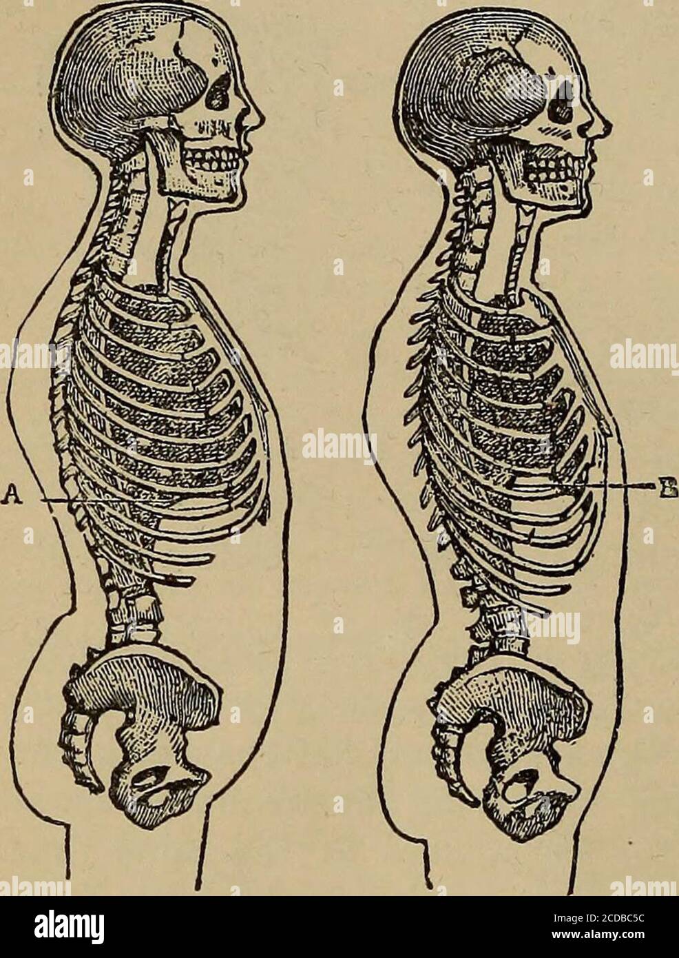 . First aid in illness and injury; . g the air to rush sud-denly ...