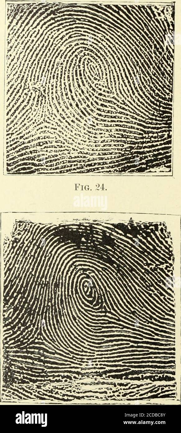 . Classification and uses of finger prints [electronic resource] . I ...