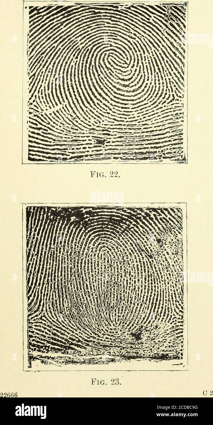 Pocket Loop Fingerprint