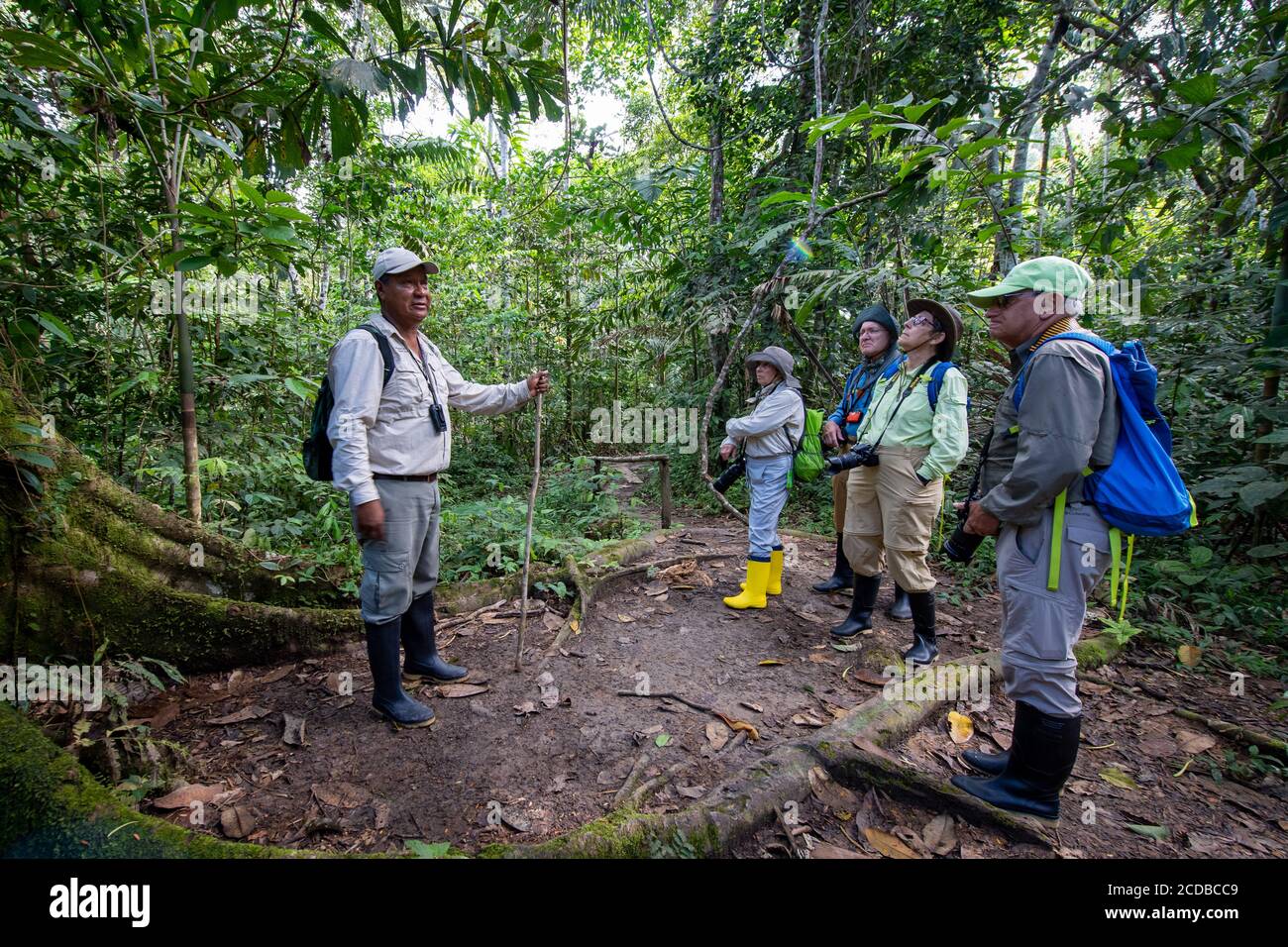 Amazon vines plants hi-res stock photography and images - Alamy