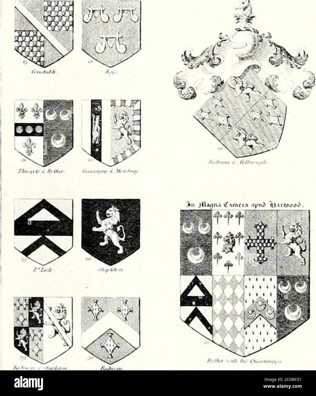 Lion rampant crest hi-res stock photography and images - Alamy