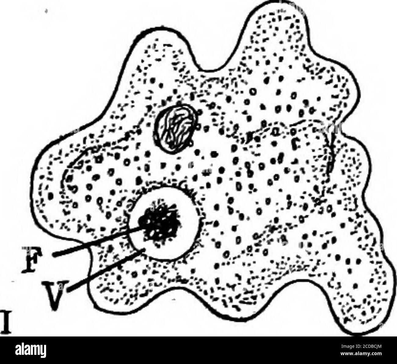 Ani walls Black and White Stock Photos & Images - Alamy