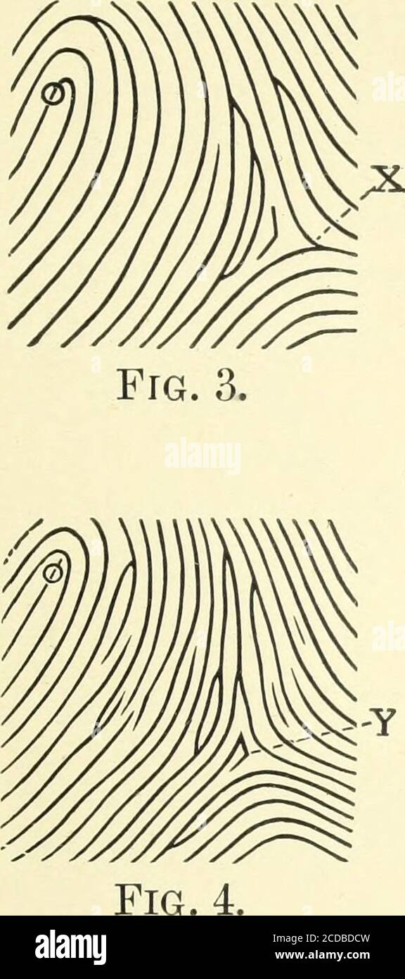 . Classification and uses of finger prints [electronic resource] . Fig ...