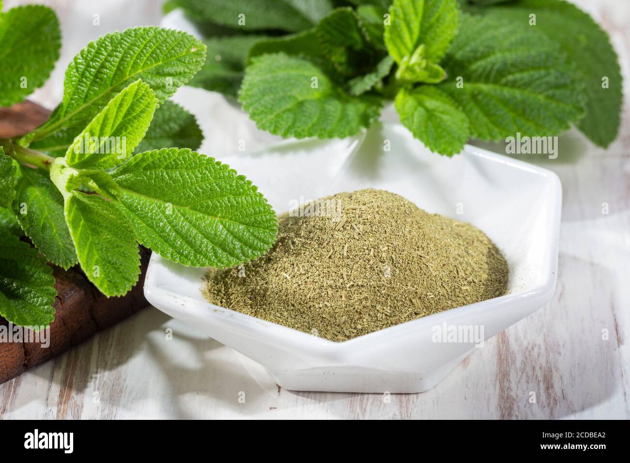 Pronto Alivio leaves and powder on the table, Lippia Alba Stock Photo ...