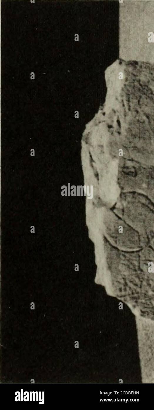 Rk2 hi-res stock photography and images - Alamy