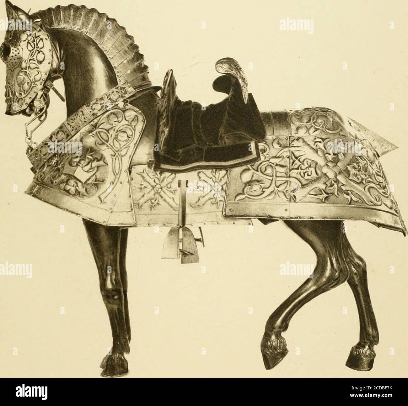 Chanfron hi-res stock photography and images - Alamy