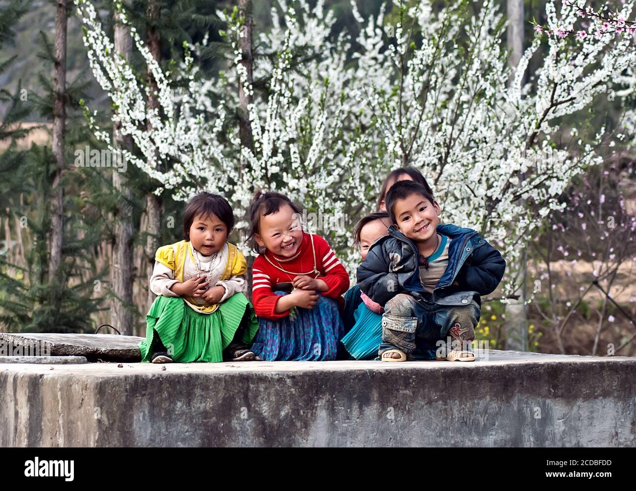 Hmong, cute, highland children, Vietnam Stock Photo - Alamy