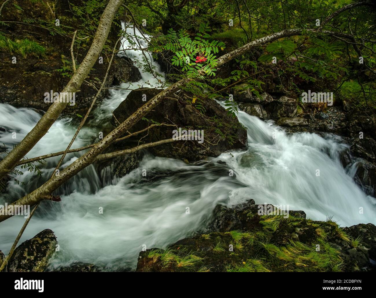 Ritson's Force waterfall, Mosedale Beck, Wasdale Head, Cumbria Stock ...