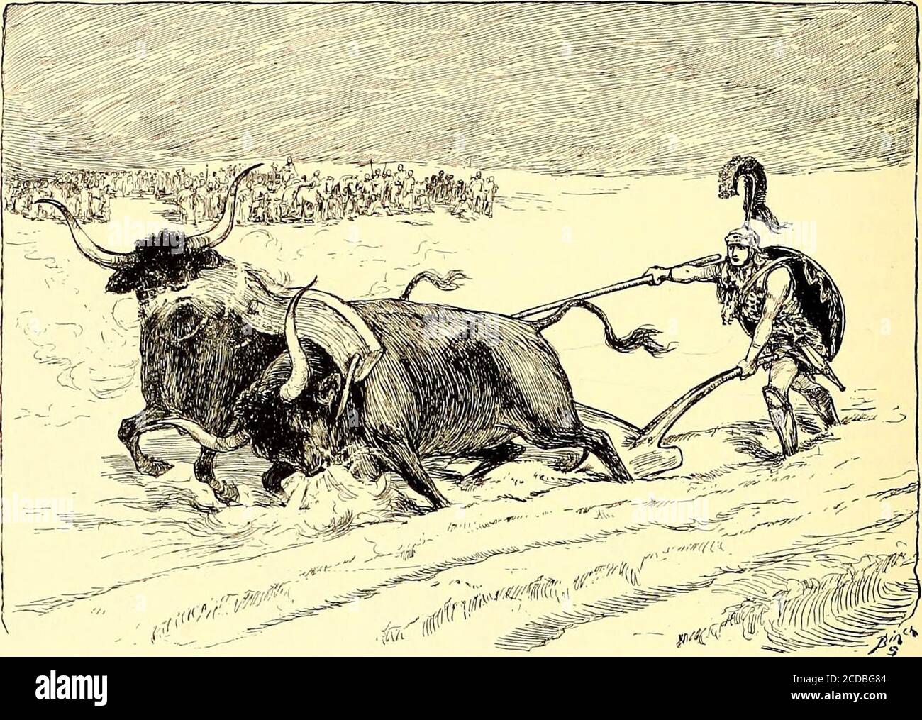 . St. Nicholas [serial] . JASON AND MEDEA. all went up together to the ...