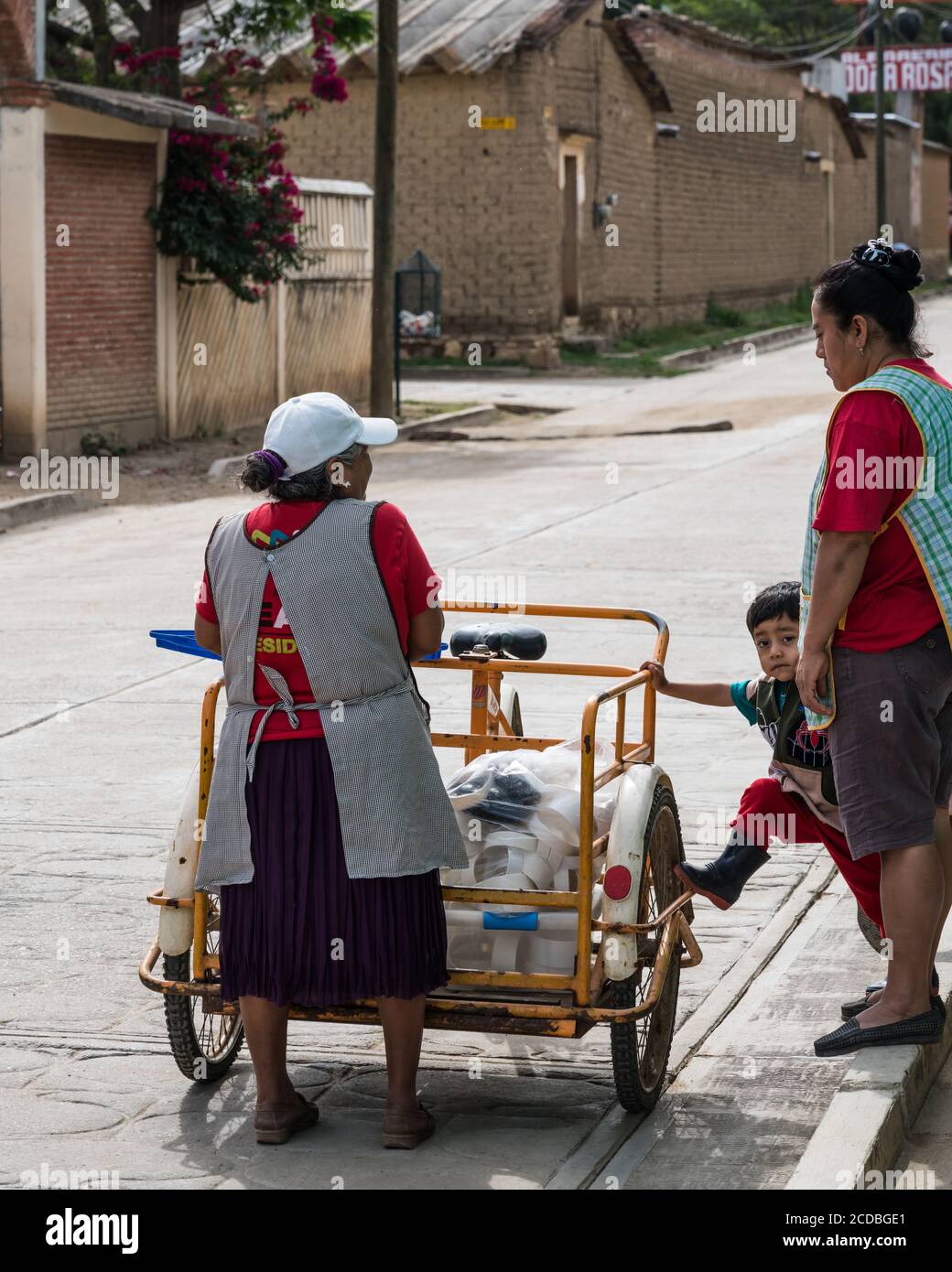 A woman sells queso fresco cheese door to door from her tricycle cart ...