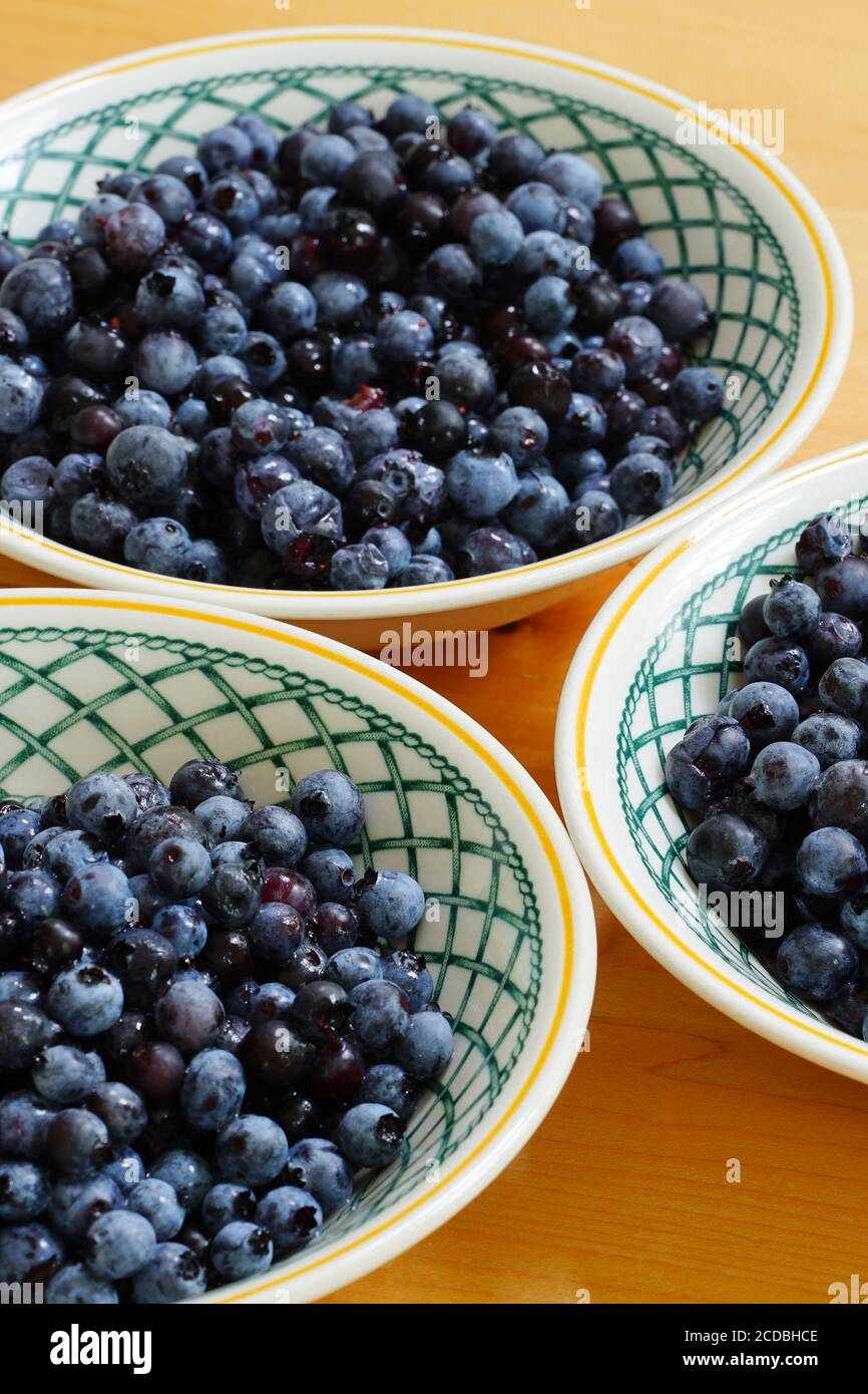 Bowls of fresh wild Maine blueberries Stock Photo - Alamy