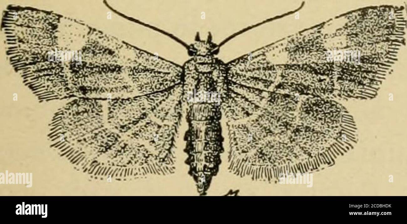 Garden ofeurope hi-res stock photography and images - Alamy